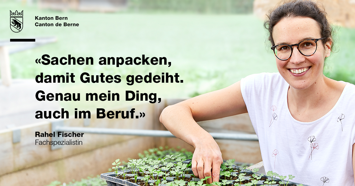 Jobs Kanton Bern: Mitarbeiter/-in Hotellerie und Gastronomie 40 - 50 %